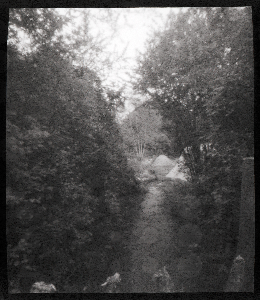 Soundcamp 2015 Stave Hill Ecology Park Rotherhithe London Part 1