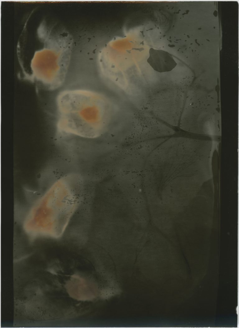 Ky Lewis | Experiments in Analogue.