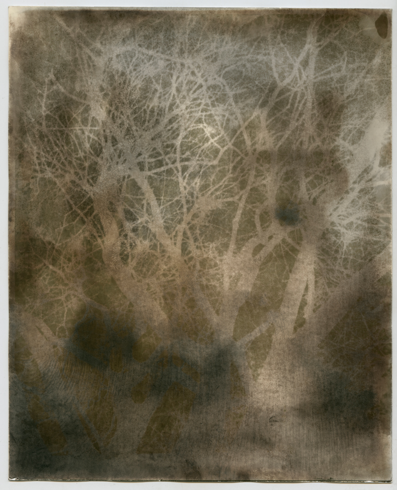 Ky Lewis | Experiments in Analogue.