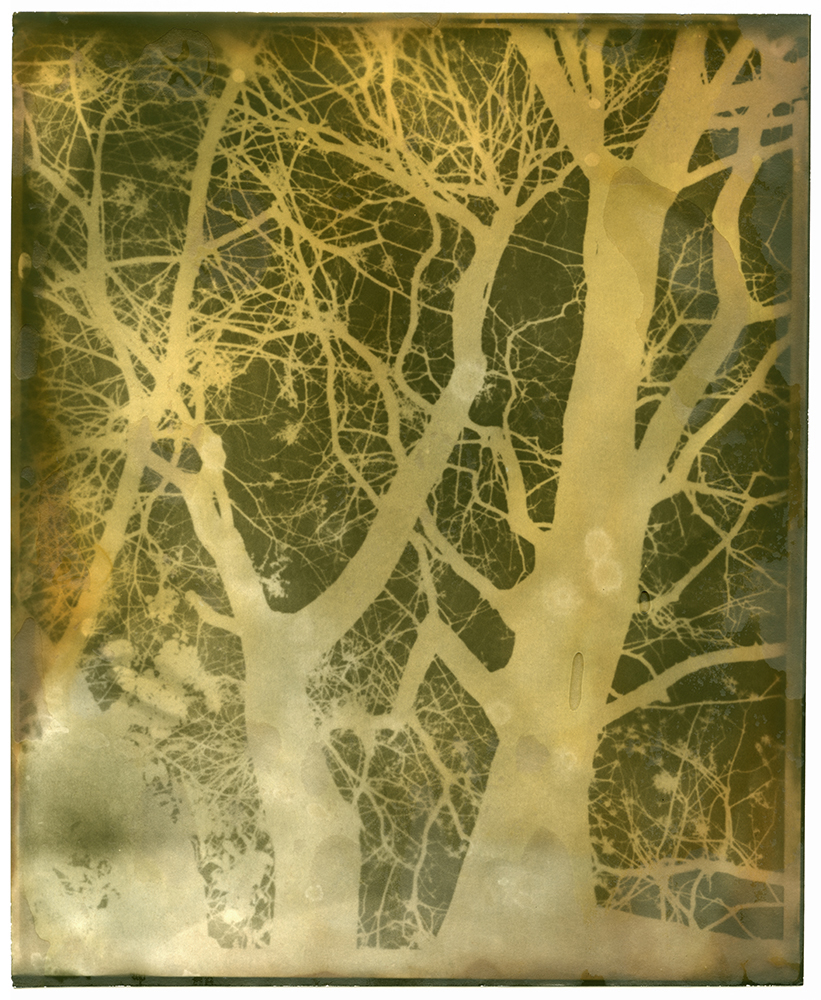 Ky Lewis | Experiments in Analogue.